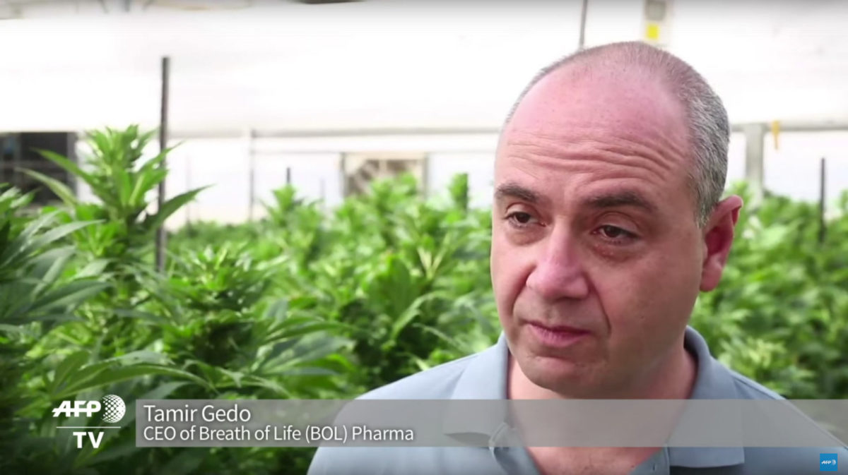 Israel continues to be a leader in cannabis research