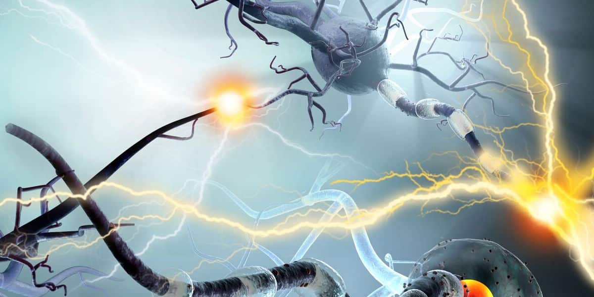 Brain Damage From Cannabis Less Severe Than Alcohol Consumption