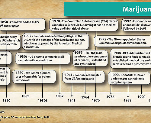 Examining Who Uses Medical Cannabis Treatments and Why