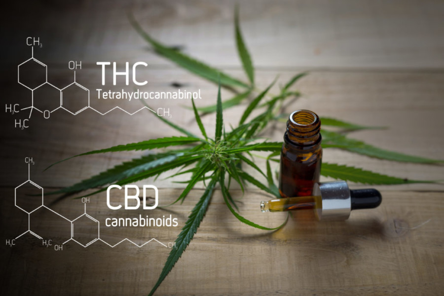 Study Suggests Medicinal Benefits of THC May Outweigh Those Of CBD
