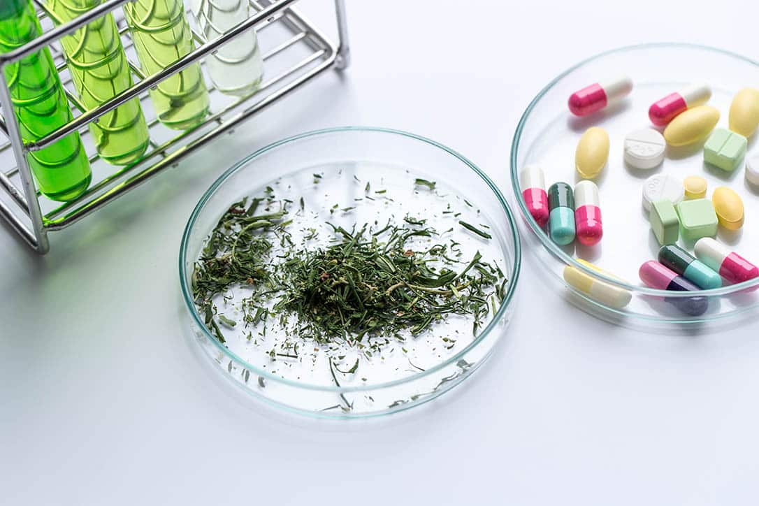 Major League Baseball Removes Cannabis From Banned Substances List