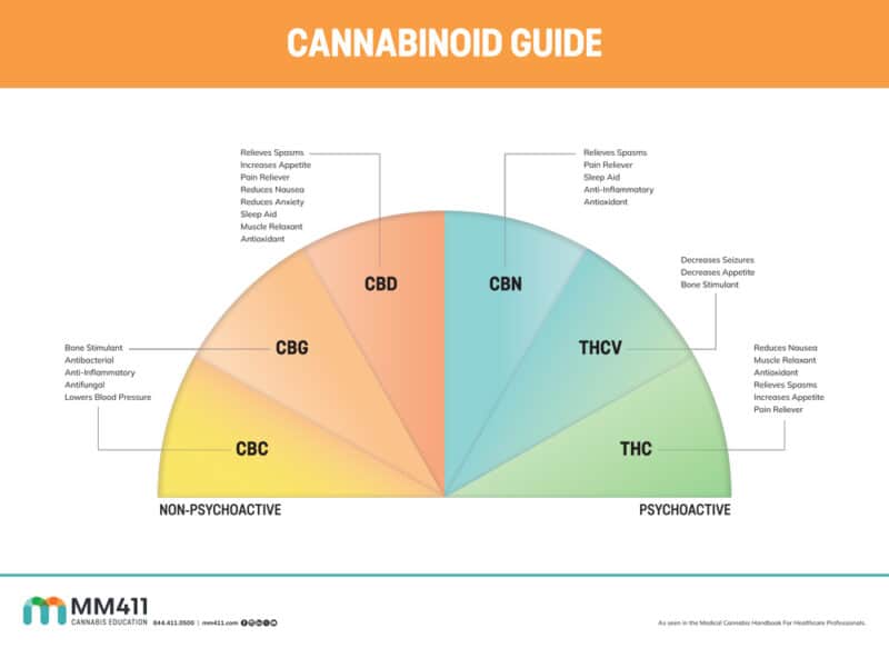 Cannabinoid Chart | Cannabinoid Poster 18″ x 24″ Inch