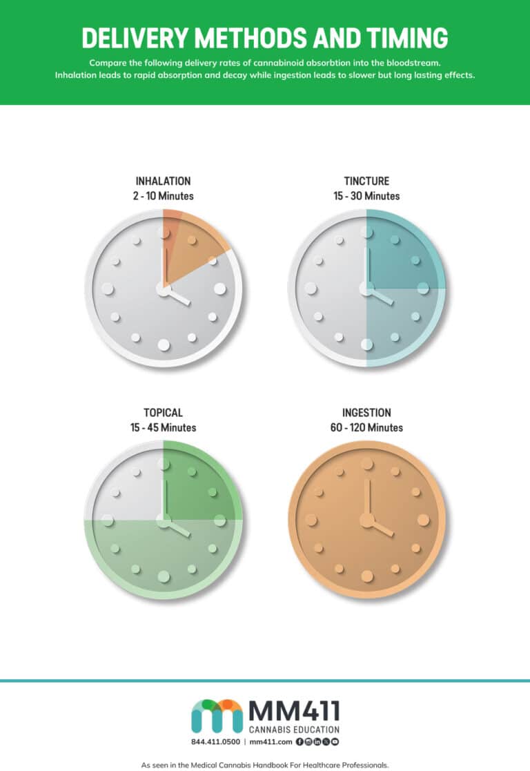 Cannabinoid Delivery Methods and Timing Infographic Poster 12" x 18"