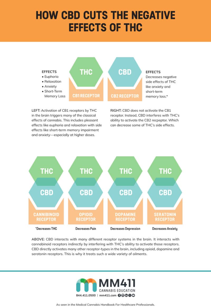 How CBD Reduces Negative Effects Of THC Infographic Poster 18" x 24"